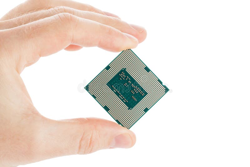 Computer S Processor in Hand Isolated on a White Background Stock Image ...