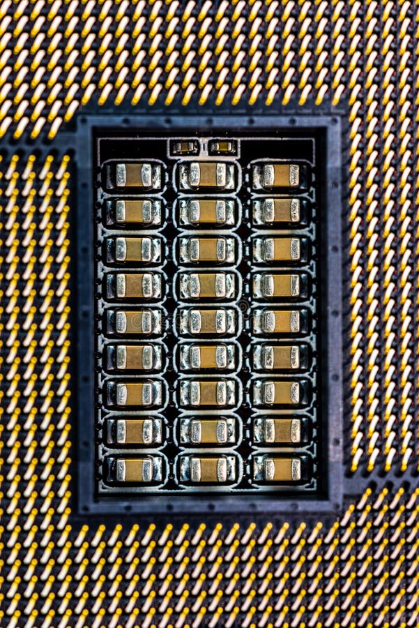 Computer socket close-up stock image. Image of medicine - 33633155 Computer socket close-up stock image. Image of medicine - 33633155