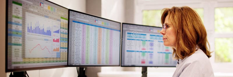 Computer Spreadsheet Data Analyst Woman Stock Photo - Image of screen ...