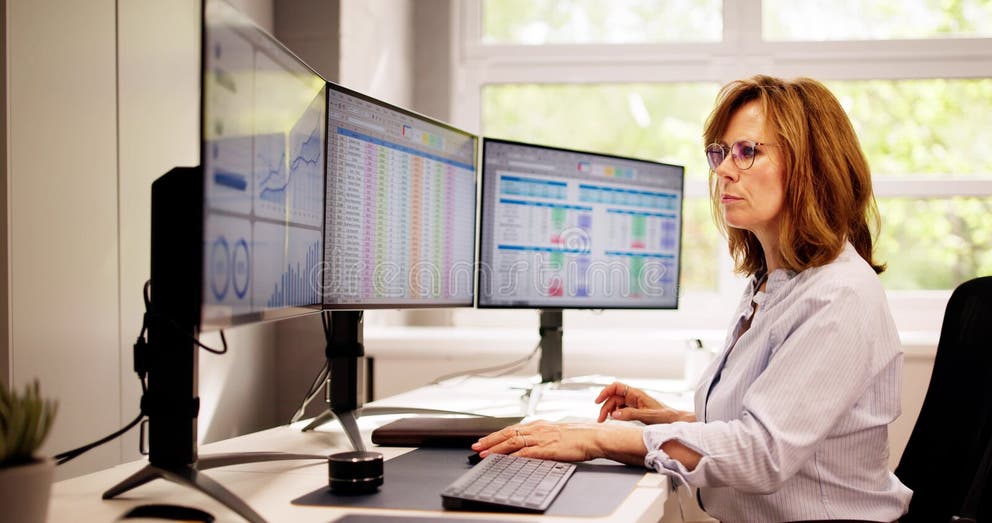 Computer Spreadsheet Data Analyst Woman Stock Image - Image of office ...