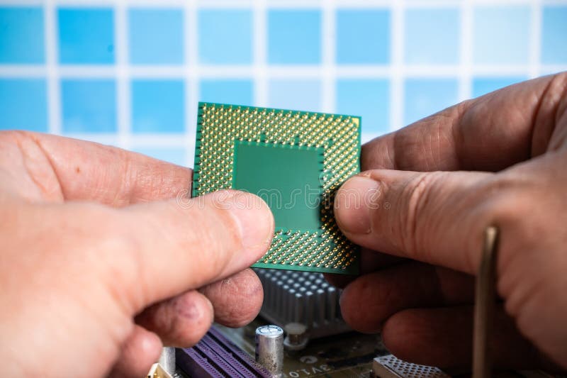 Computer Technician Checking the Contacts of a Microprocessor Stock ...