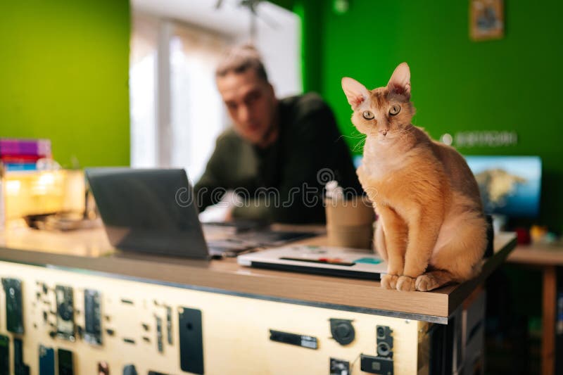 Computer Technician Examining Damaged Motherboard in Electronics Repair ...