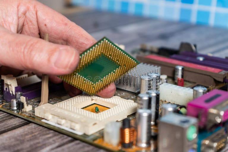 Computer Technician Installing a Microprocessor into a Motherboard ...