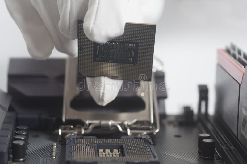 Computer Technician Wearing White Gloves Installing CPU into ...