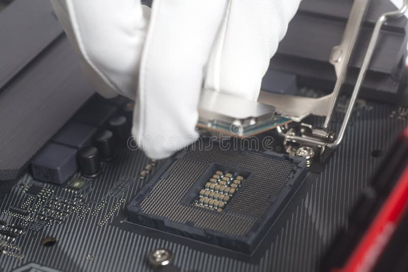 Computer Technician Wearing White Gloves Installing CPU into ...