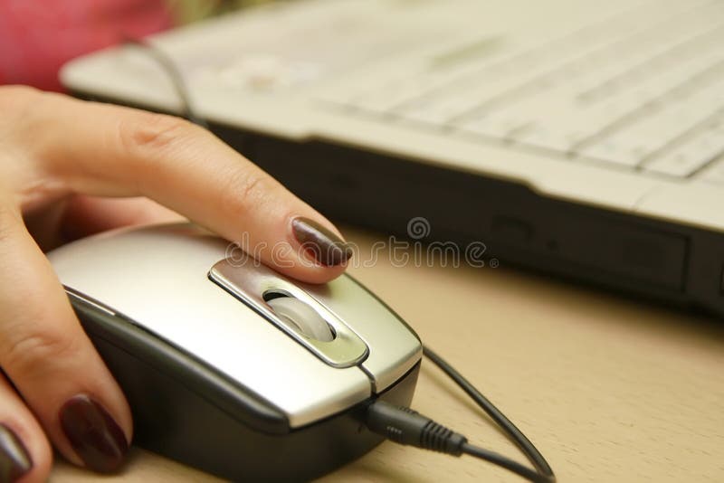 Computer work stock image. Image of woman, elegant, computer - 10599659