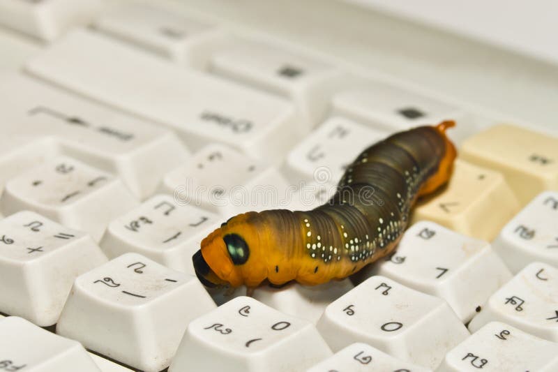 Computer worm. stock image. Image of browser, macro, damage - 25078001