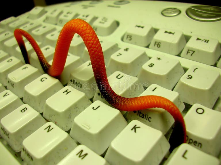 Computer Worm stock photo. Image of letters, faded, keys - 75222