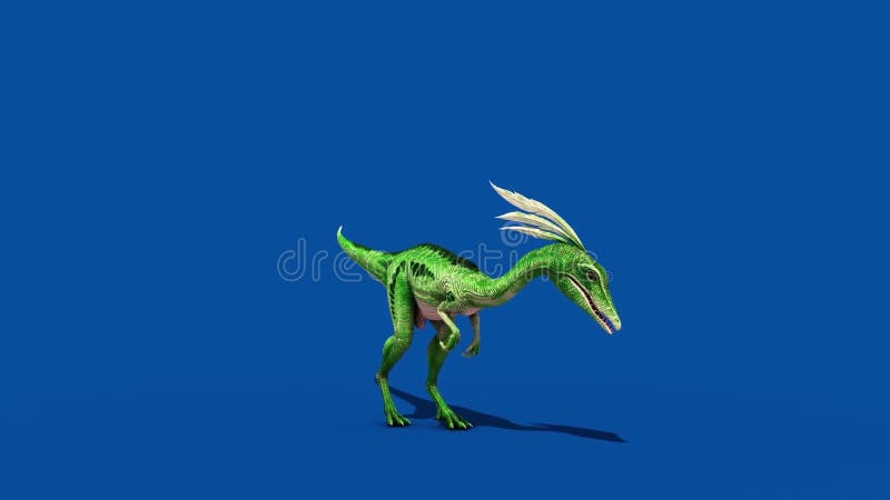 Compy Jurassic Dinosaur Attacks Blue Screen Front 3D Rendering ...