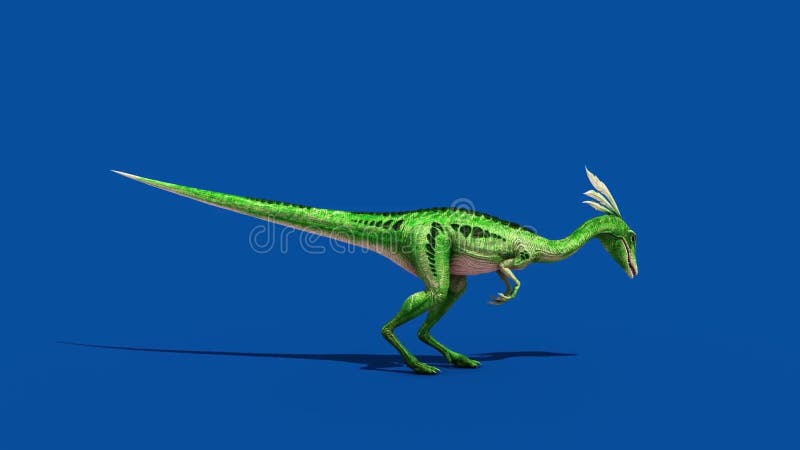 Compy Jurassic Dinosaur Die Blue Screen Side 3D Rendering Animation ...