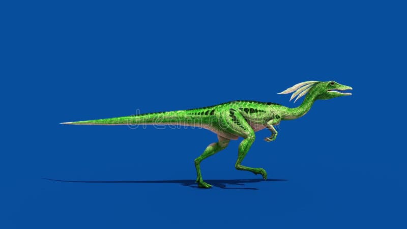 Compy Jurassic Dinosaur Runcycle Blue Screen Loop 3D Rendering ...