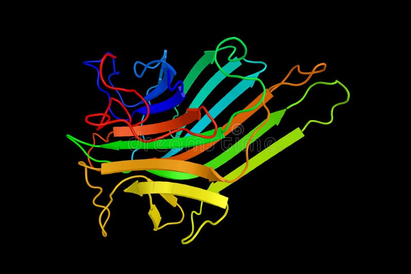 Concanavalin a, a Lectin Originally Extracted from the Jack-bean ...