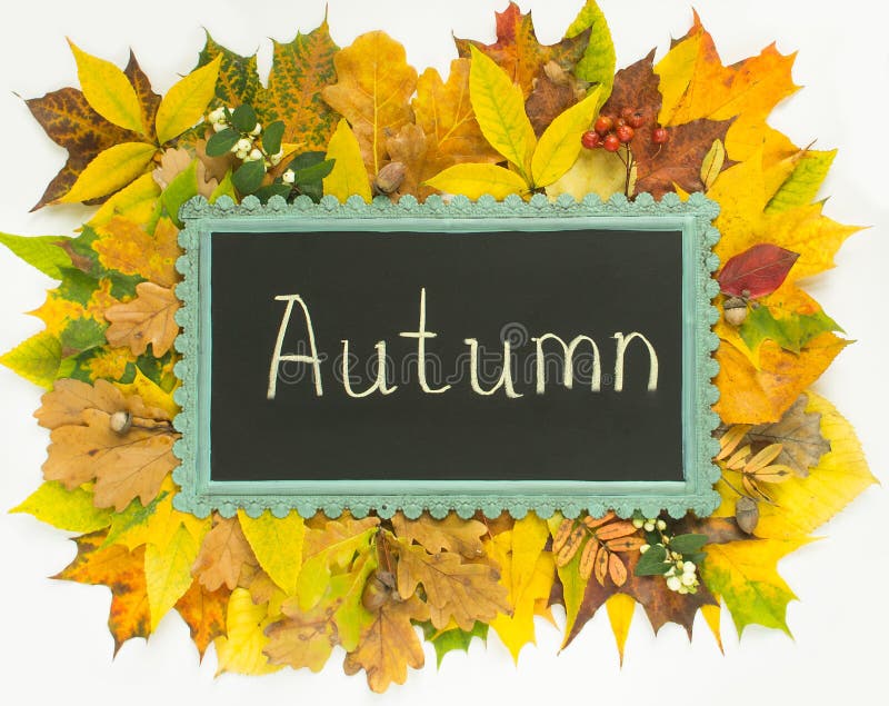 Conceito Do Outono Frame Colorido Das Folhas De Outono Fundo Do Outono ...