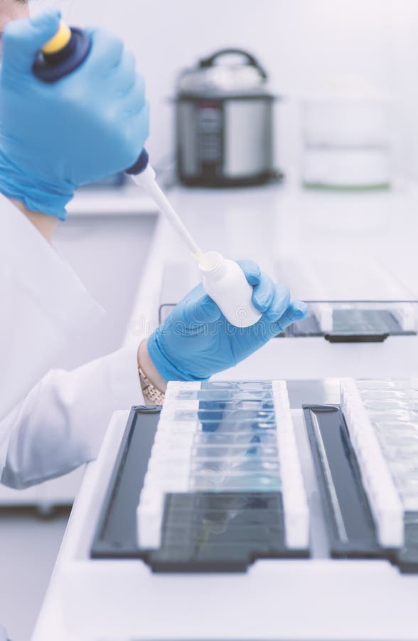 Concentrate Scientists Making an Experiment in a Laboratory.medical ...