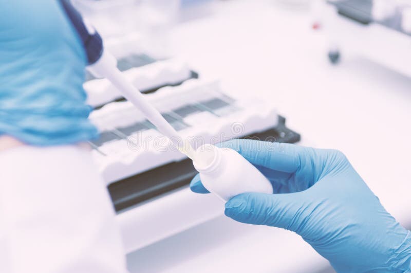 Concentrate Scientists Making an Experiment in a Laboratory Stock Image ...