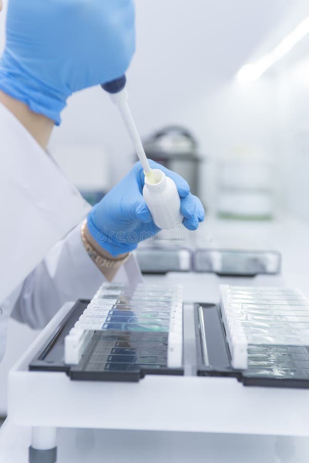 Concentrate Scientists Making an Experiment in a Laboratory Stock Photo ...