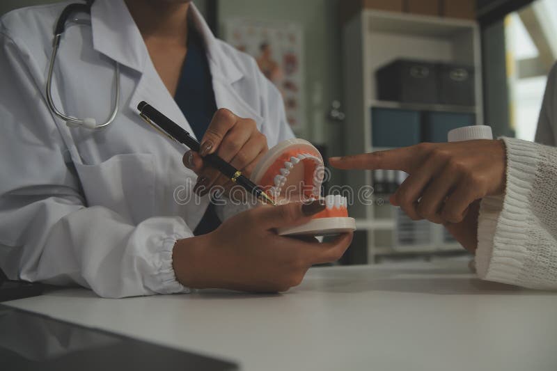 Concentrated Dentist Sitting at Table with Jaw Samples Tooth Model and ...