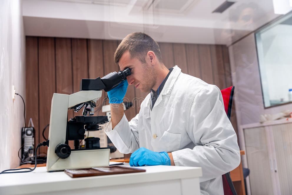 Concentrated Doctor Using Microscope To Analysis Samples in a ...