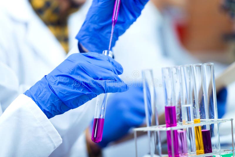 Concentrated Scientist Making Experiment in Laboratory. Stock Photo ...