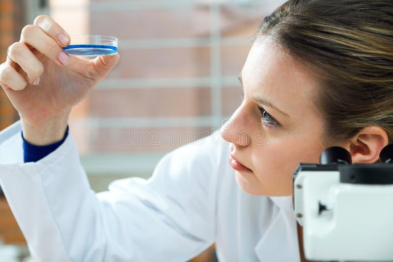 Concentrated Scientist Making Experiment in Laboratory. Stock Photo ...