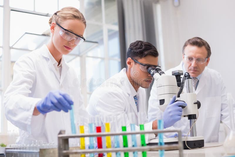 Concentrated Scientists Working Together Stock Image - Image of ...