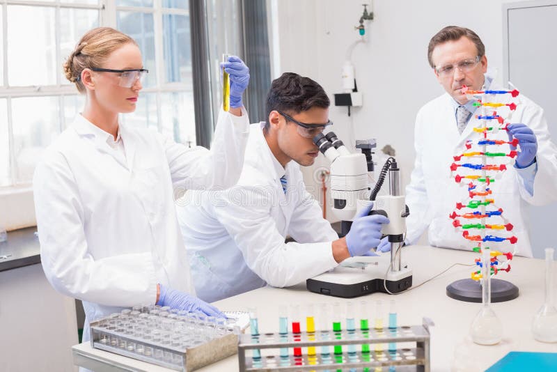 Concentrated Scientists Working Together Stock Photo - Image of ...