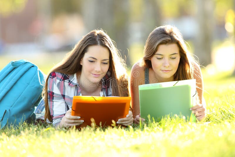 Concentrated Students Studying Reading Notes Stock Photo - Image of ...