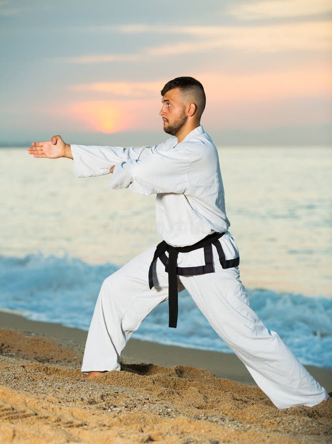 Guy doing karate poses stock image. Image of kicking - 205515375