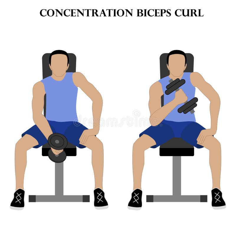 Concentration Curl Exercise Stock Illustrations – 50 Concentration Curl Exercise Stock ...