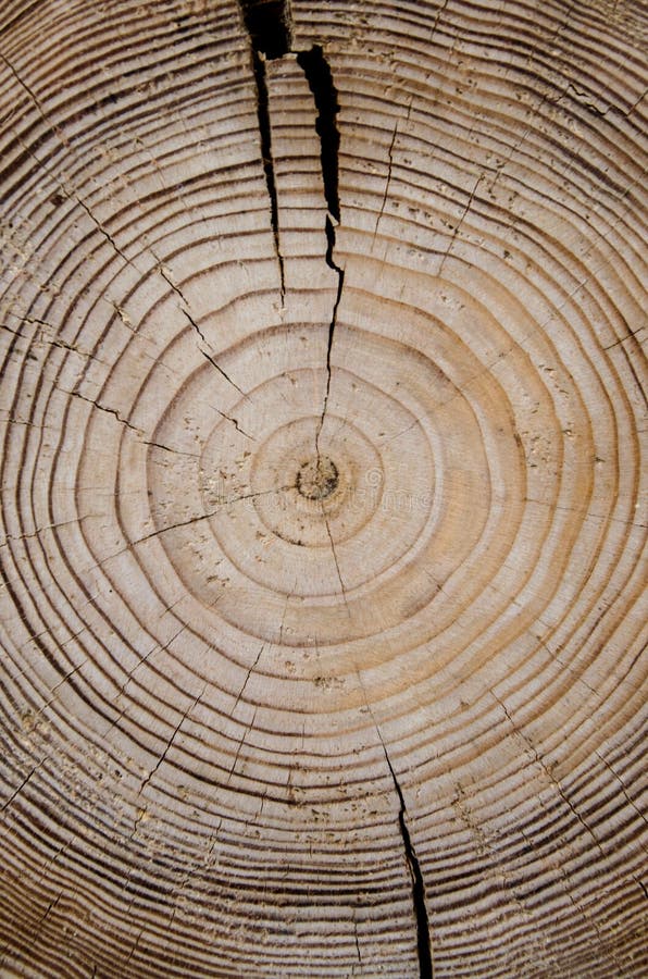 Concentric rings stock photo. Image of pipe, figure, blue - 14650452