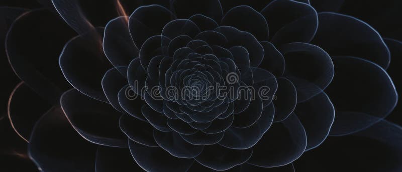 Concentric Circular Petal Patterns with Floral Design on a Black ...