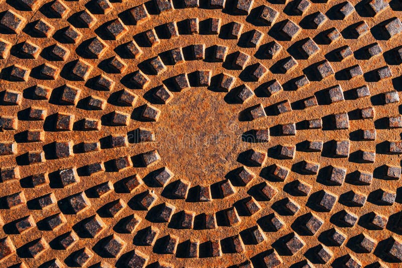 The Concentric Pattern of Polished Beech Tree Cross-section. Wood ...