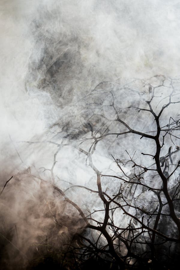 Concept Abstract Image of Deep Smoke Cover Burning Forest Stock Photo ...
