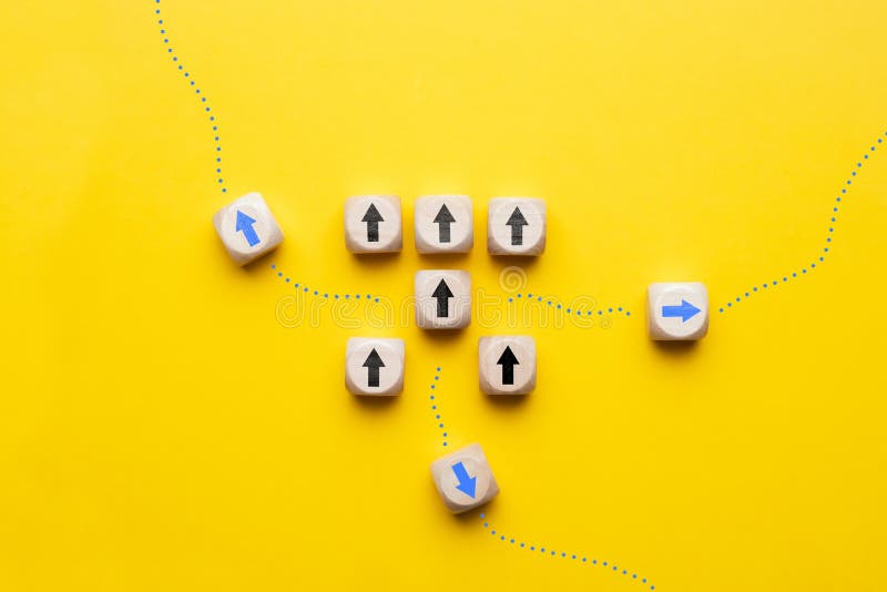 The Concept of an Alternative or Change of Path in the Form of Wooden ...