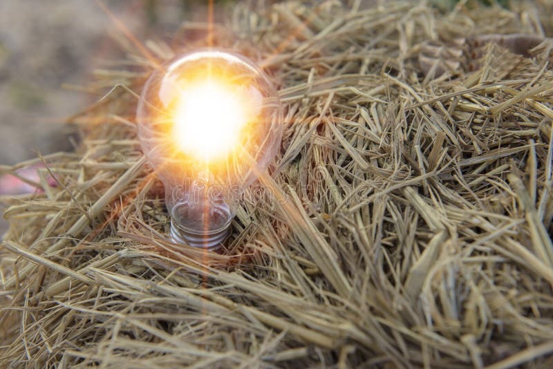 Concept of Alternative Energy Straw Stock Image - Image of natural ...