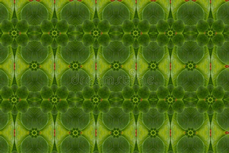 Concept art from leaves. stock image. Image of grass - 42858835