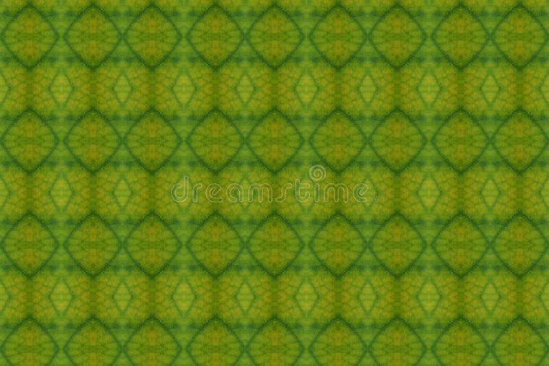 Concept art from leaves. stock image. Image of form, business - 42858837