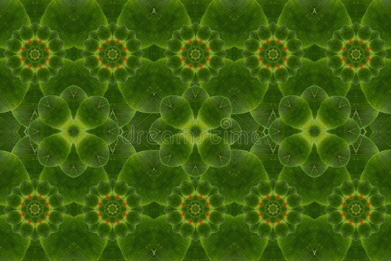 Concept art from leaves. stock image. Image of growing - 42858867