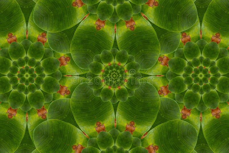 Concept art from leaves. stock image. Image of growth - 42858891