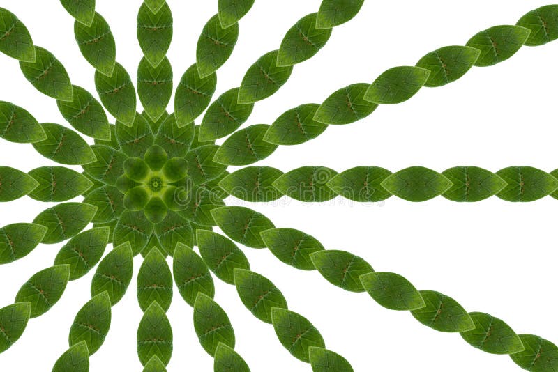 Concept art from leaves. stock image. Image of create - 42859751