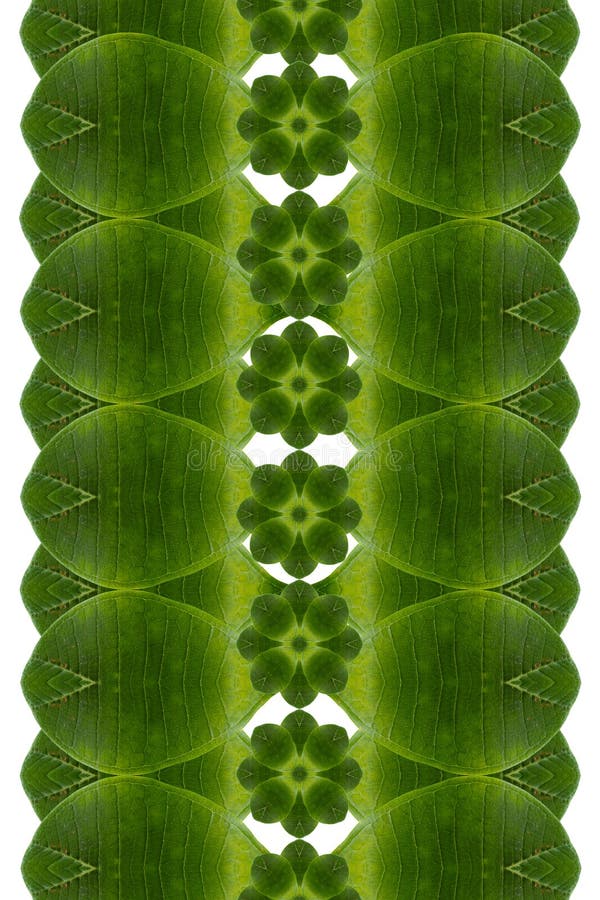 Concept art from leaves. stock photo. Image of design - 42859734