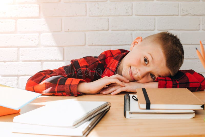 Concept Back To the School. an Upset Boy in the Process of Studying ...