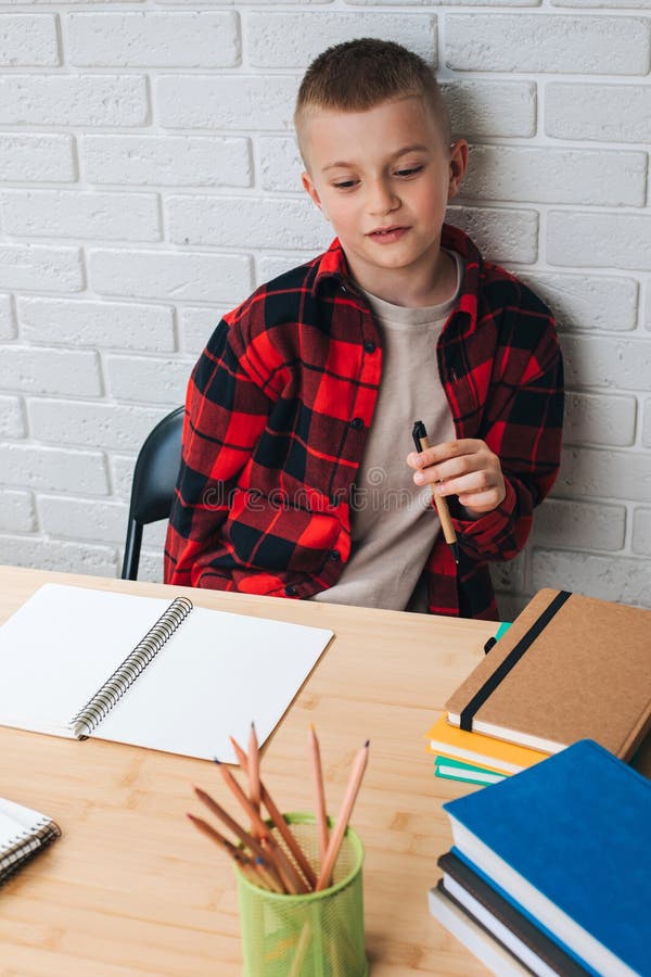 Concept Back To the School. a Boy in the Process of Studying Sits at a ...