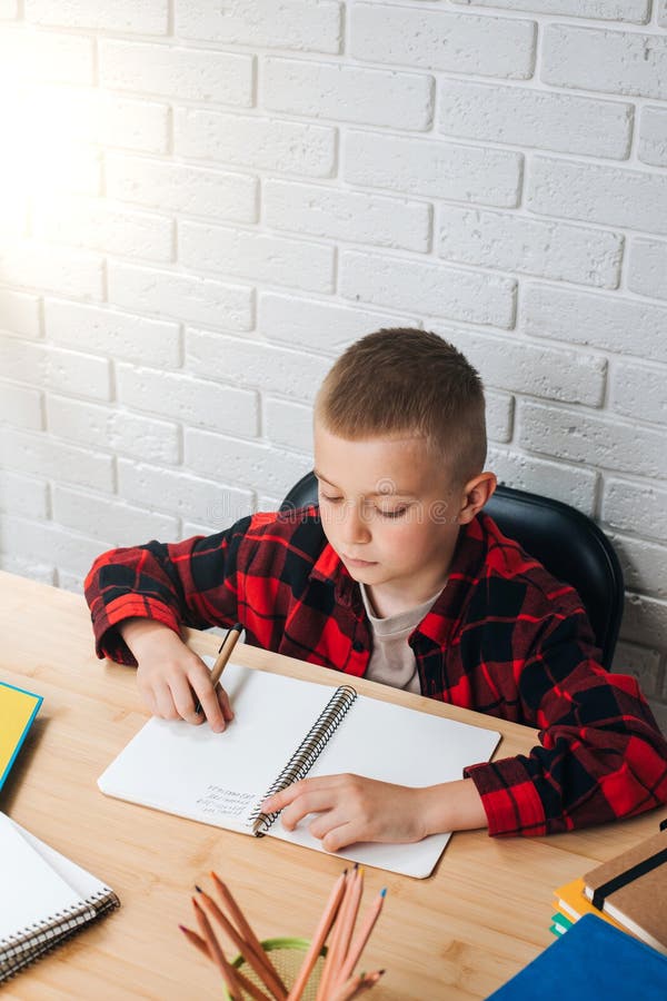 Concept Back To the School. a Boy in the Process of Studying Sits at a ...