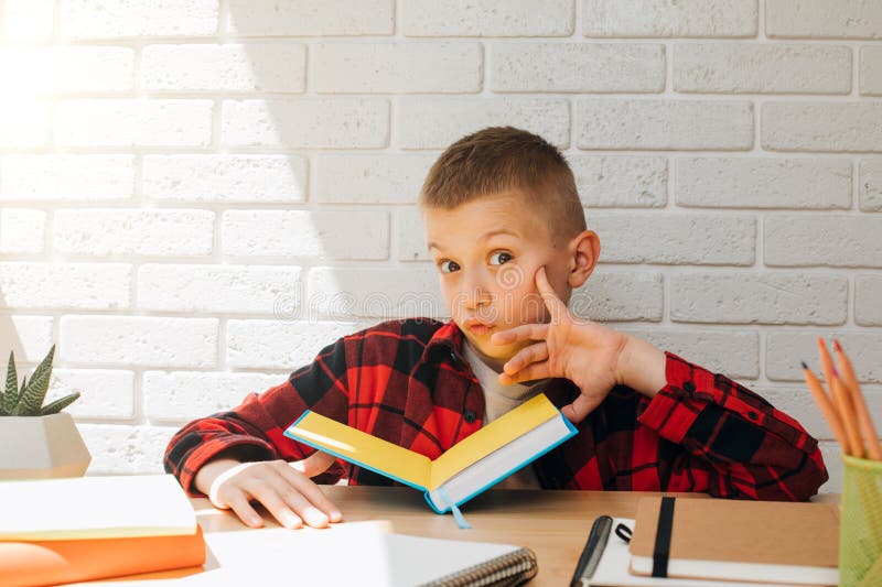 Concept Back To the School. a Boy in the Process of Studying Sits at a ...