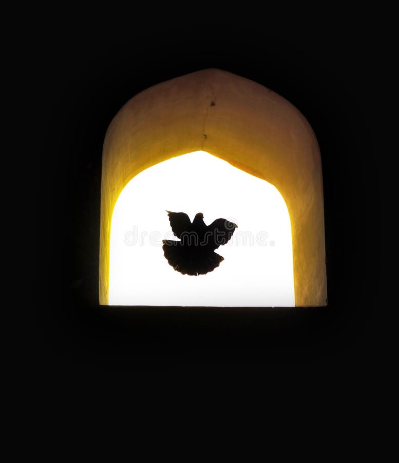 Dove of Hope Flying through Window Stock Image - Image of idea, concept ...