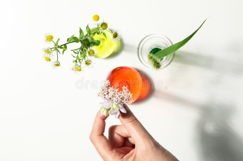 Concept of Biology Research with Flowers, Top View Stock Photo - Image ...
