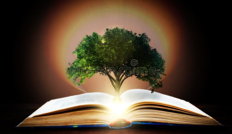 Book Or Tree Of Knowledge Concept With Tree Growing From An Open Book ...