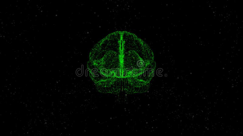 Brain Anatomy. Realistic Human Brain in Green Shades Rotating in a ...