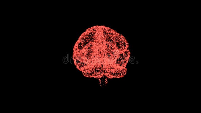 Abstract View on Red Human Brain Anatomical Model in Open Space. Stock ...